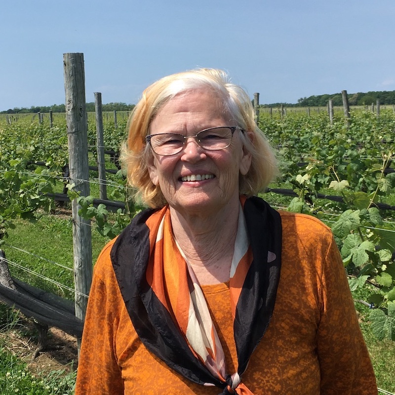 CSIR: Center for Social Isolation Remedies - Our Team